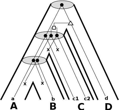 Figure 2 1 From On The Decomposition And Reconstruction Of Discrete Structures Characterization