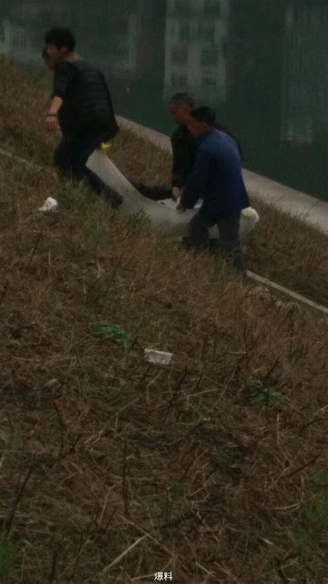 網曝安康漢陰漩渦鎮河堤發現一男性屍體 每日頭條