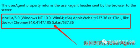 一篇文章带你了解javascript Window Navigator（下篇） 51ctocom