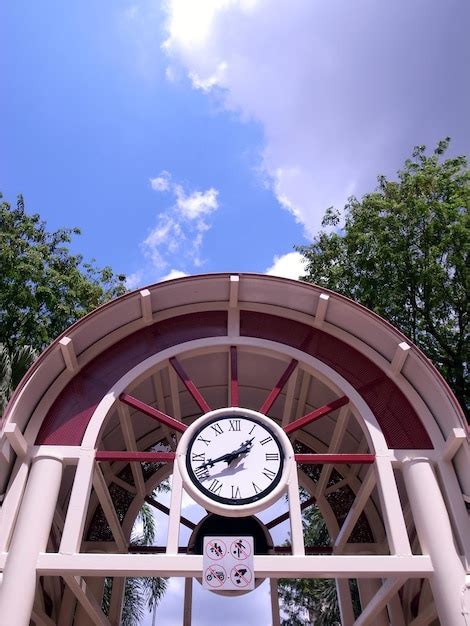 Premium Photo Low Angle View Of Clock On Tree Against Sky