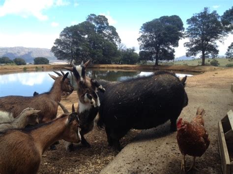 Nlp Practitioner Retreat Nlp World