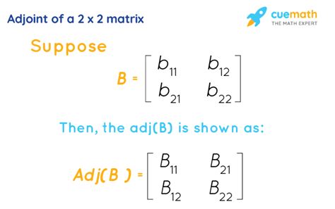 Adjoint Of A Matrix X X Formula Properties Adjugate
