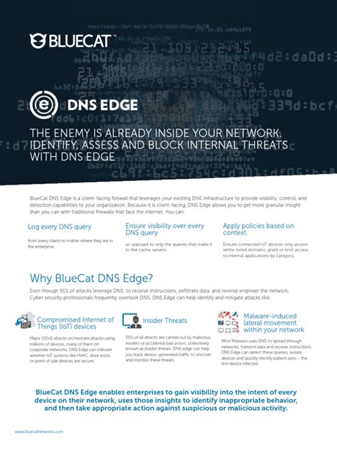 Brochure Bluecat Dns Edge Pdf Domain Name System Internet Of Things