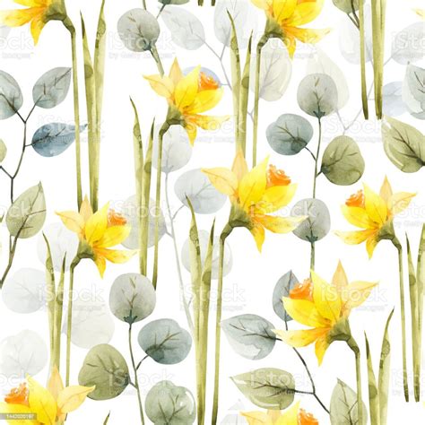 노란 꽃 수선화와 녹색 식물 봄 수채화 그림이 있는 매끄러운 패턴 3월에 대한 스톡 벡터 아트 및 기타 이미지 3월 Central London 공휴일 Istock