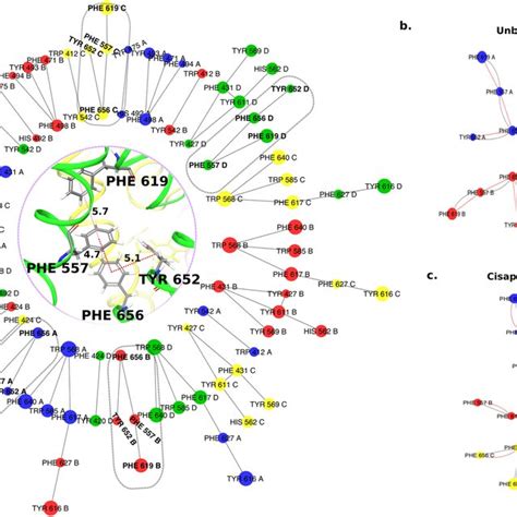 Network Of PiPi Interactions A Pi Networks Found In The Cryo EM Download Scientific Diagram