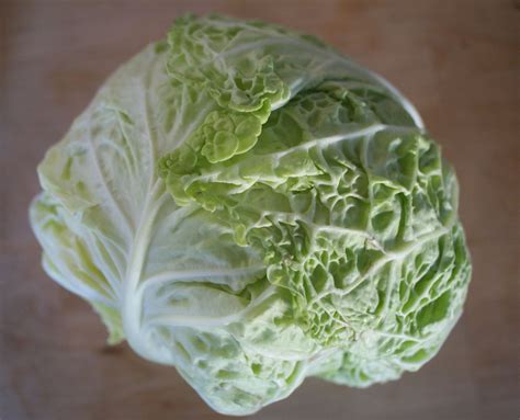 All About Cabbage With Winning Recipes