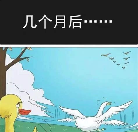 漫畫今天的啤酒鴨真好吃 每日頭條