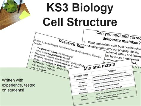 Ks3 Biology Cell Structure Activities Teaching Resources