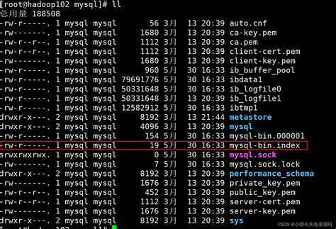 Flink Cdc实践（含实操步骤与截图）flink Cdc 实践 Csdn博客