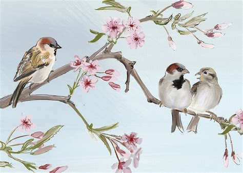 Birds