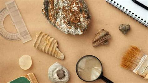 Andhra Pradesh Csir National Geophysical Research Institute Scientists Find Rare Earth