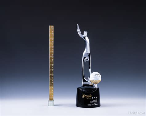 Sk63 크롬트로피 트로피 제작 이글패 싱글패 홀인원패 Sk63 크롬트로피 트로피 제작 이글패 싱글패 홀인원패