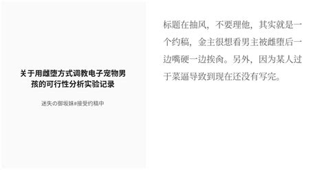「关于用雌堕方式调教电子宠物男孩的可行性分析实验记录」「迷失の御坂妹接受约稿中」のシリーズ Pixiv