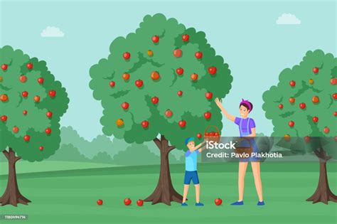 어머니 아들 수확 사과 벡터 그림입니다 젊은 여자와 잘 익은 빨간 과일 만화 캐릭터를 수집 하는 작은 소년 쾌활한 마을 주민