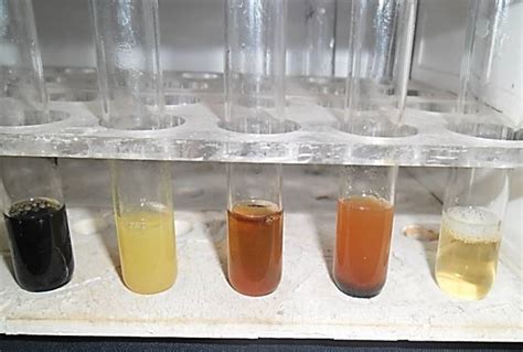 Phytochemical Analysis Of Psidium Guajava Leaves Extract Silver Download Scientific Diagram