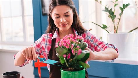 Лунный календарь огородника и садовода на июнь 2025 список посевных дней месяца Погода Mail