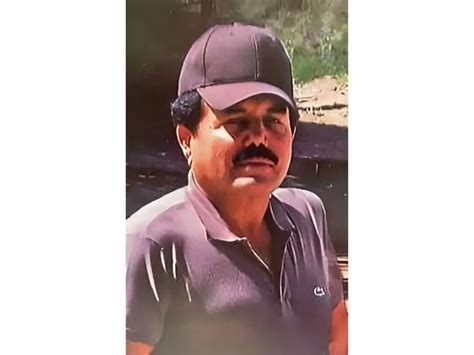 La Jornada Amlo Arrestos De El Chapito Y El Mayo Reflejan