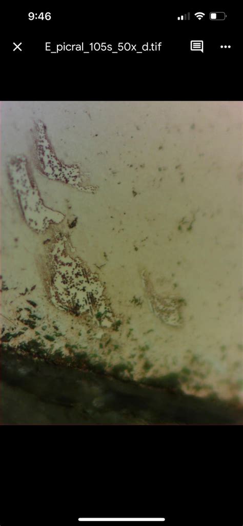 Discussions On Metallurgy