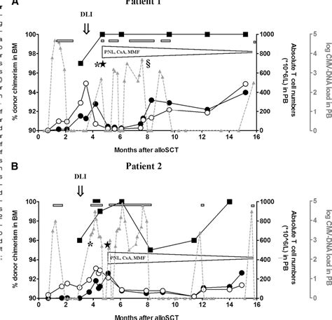 Figure 1 From Hla Class Ii Upregulation During Viral Infection Leads To Hla Dp Directed Graft