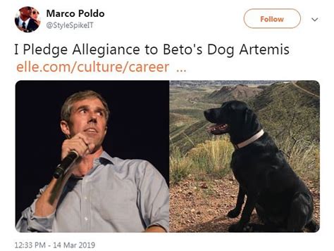 Twitter Users React To Beto Orourkes Sad Dog On Vanity Fair Cover