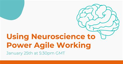 Using Neuroscience To Power Agile Working