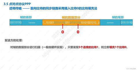 计网数据链路层 Csdn博客