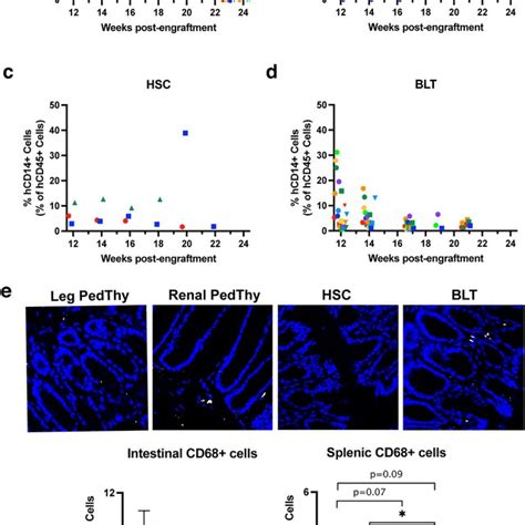 Human Cd45 Cells Detected In The Peripheral Blood Of Mice Ad The