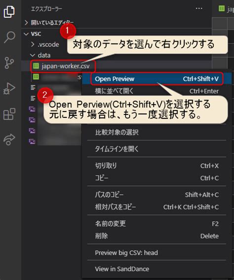 【vscode】データを可視化するプラグイン「sanddance Excel Viewer Rainbowcsv」の紹介 Pythonでもっと自由を