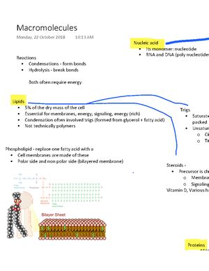 Unit 5 AP Biology Unit Overview Of Entire Unit Unit 5 AP Biology Genetics Heredity And