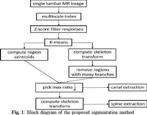 Figure 1 From Segmentation And Extraction Of The Spinal Canal In