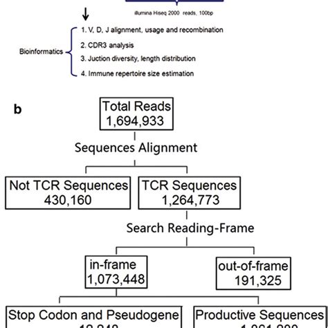 Pcr Bias And Sequencing Error Rate Assessment A Assessment Of Pcr