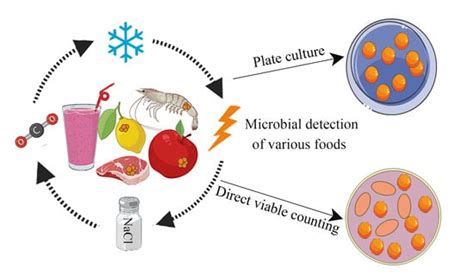 Current Perspectives On Viable But Non Culturable Foodborne Pathogenic Bacteria A Review