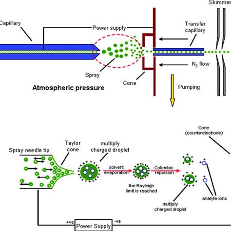 The Main Physicochemical Processes Of Electrospray Ionization In Download Scientific Diagram