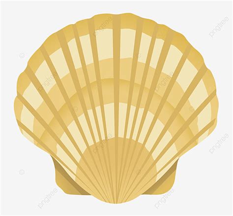 흰색 조개 일러스트 패류 하얀 껍질 조개 Png 일러스트 및 Psd 이미지 무료 다운로드 Pngtree