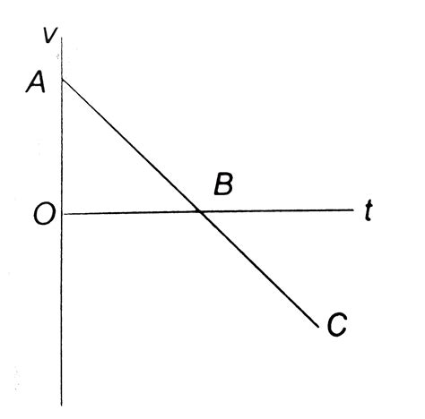 A Particle Is Thrown Above Then Correct V T Graph Will Be Sarthaks EConnect Largest