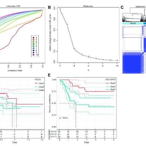 Construction Of Molecular Subtypes Based On Genes Positively Correlated