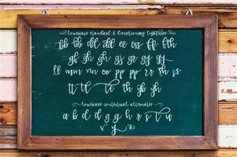 Lucille Hand Lettered Font Duo