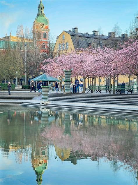 Jay Gocotano On Linkedin Spring 🌼🌱