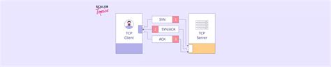 What Is TCP Way Handshake Scaler Topics