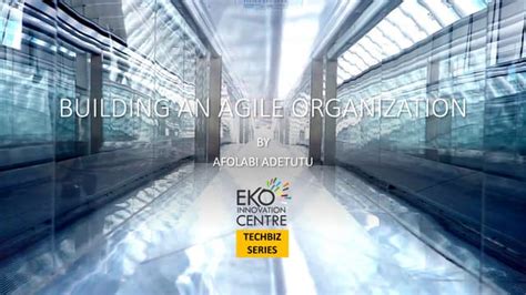 Building An Agile Organization Pdf
