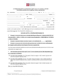 Autodichiarazione Ai Sensi Degli Artt 46 47 75 E