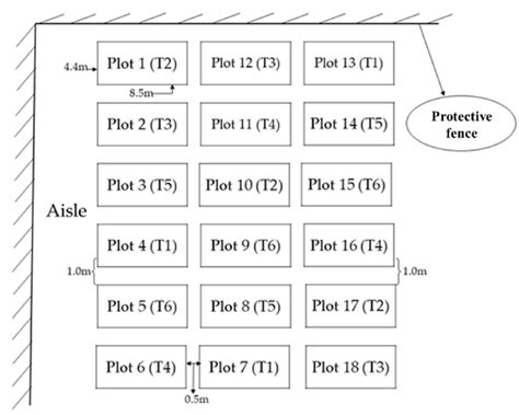 The Layout Of The Experimental Blocks Download Scientific Diagram