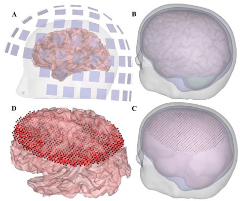 The Head Model Geometries A Shows The Meg Sensors Scalp And Download Scientific Diagram