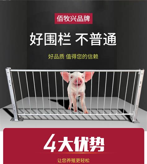 热镀锌育肥大栏