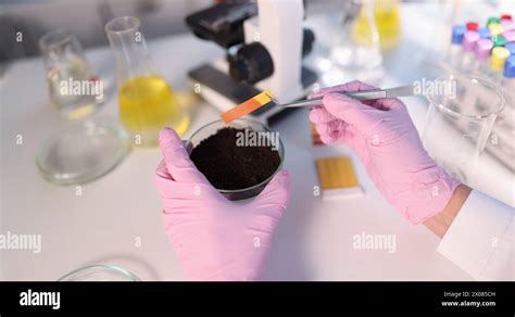 Laboratory Analysis Of Soil Scientist Measures Ph Of Soil Sample With