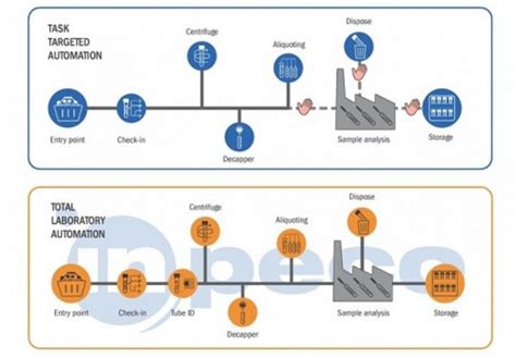 Benefits Of Laboratory Automation At Christopher Foss Blog