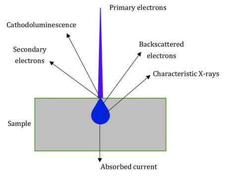 Electron Interaction With Specimen Download Scientific Diagram