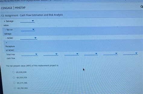 Solved 12 Assignment Cash Flow Estimation And Risk