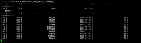 Fink Cdc数据同步（六）数据入湖hudiflinkcdc同步数据到hudi Csdn博客
