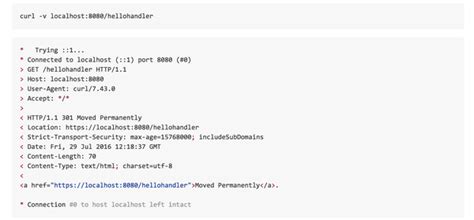 Implementing HSTS As Go Middleware